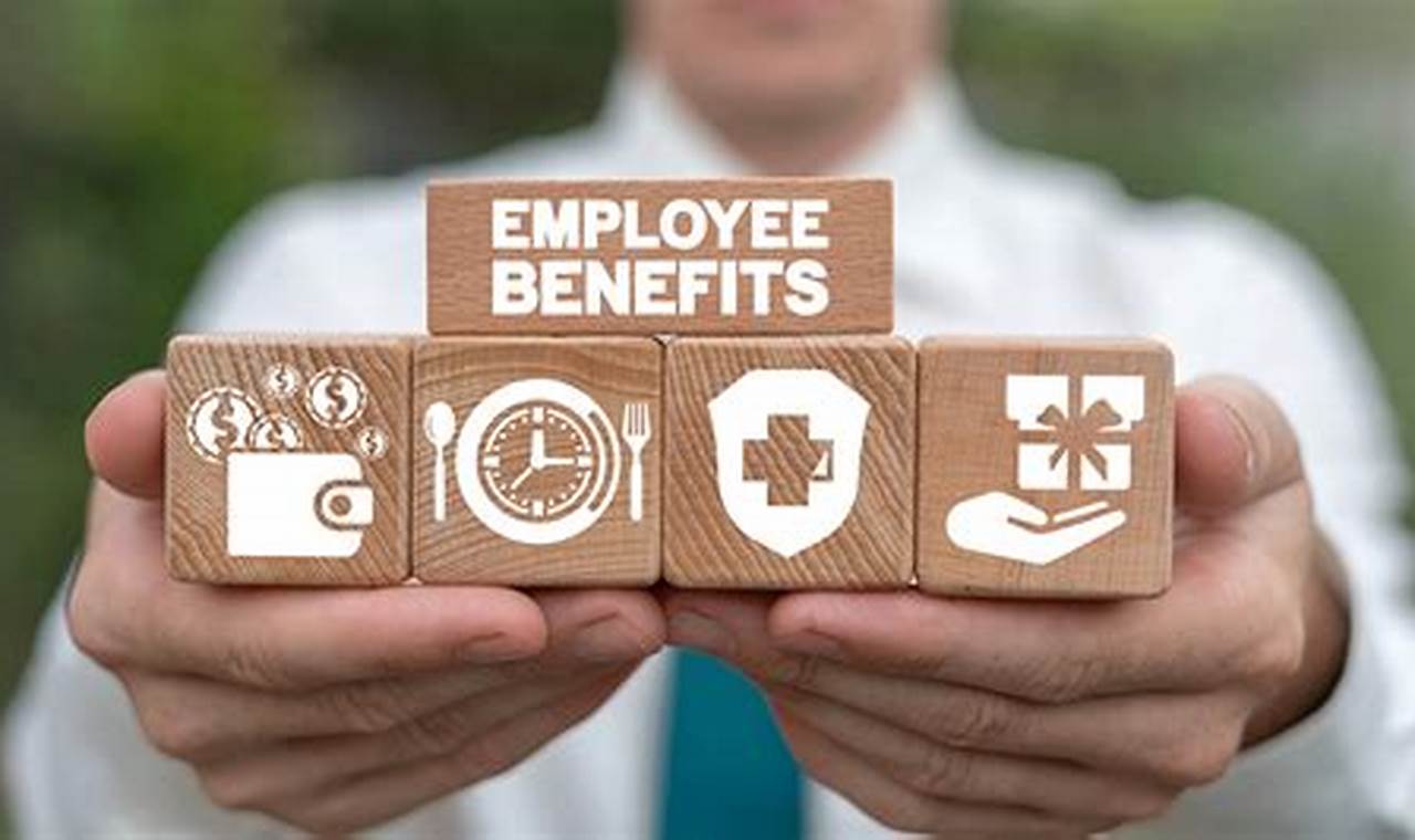 The Ultimate Guide to Employee Benefits Insurance Packages for Startups